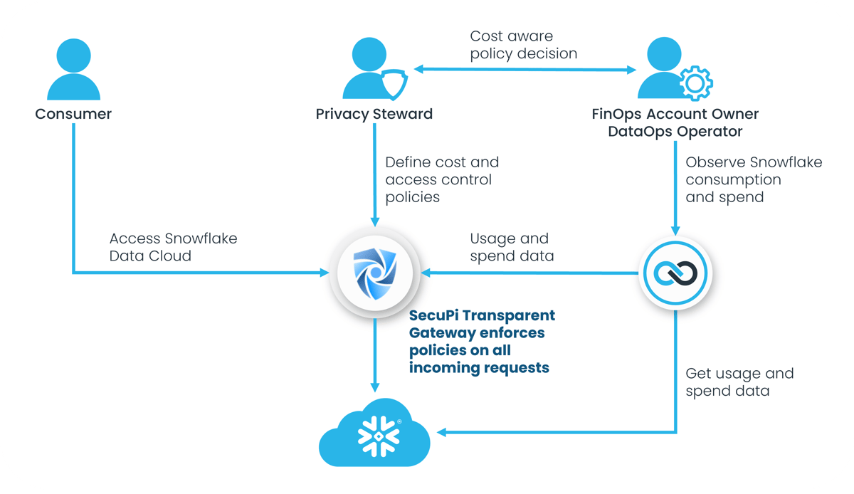 SecuPi Data Security and DataOps.live: Safeguarding your Finances